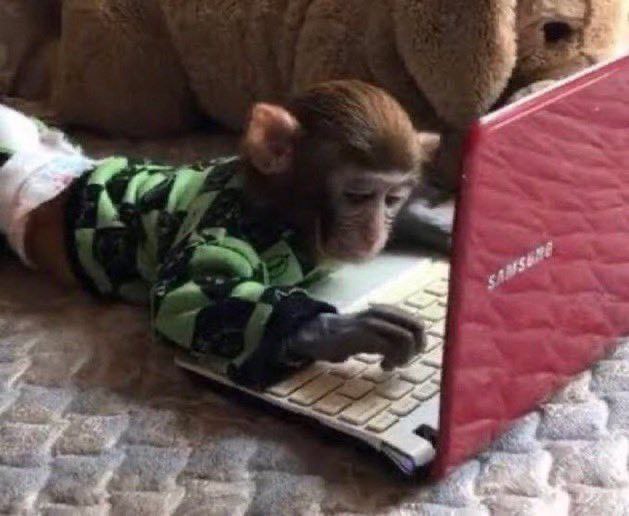 Buy Fortnite Cheats, Fortnite Hacks cheap | Cheats Shop OwnHacks